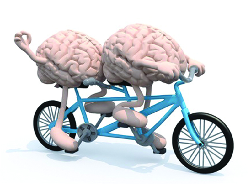 A Tale of Two Brains